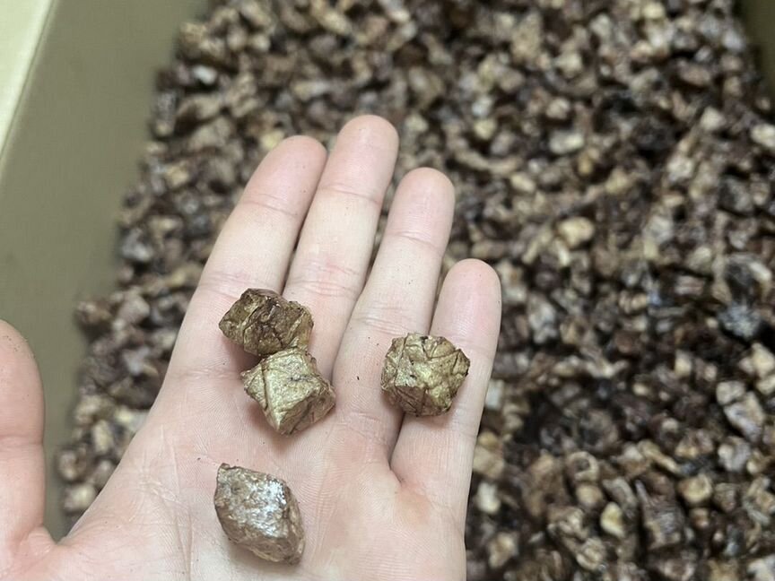 Сушеные лакомства для собак