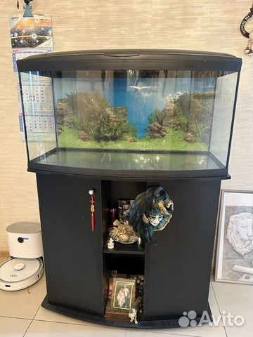 Аквариум cayman 110 prof фильтр тумба