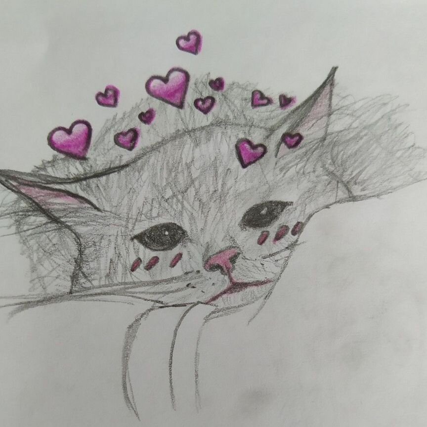 Рисую ваших питомцев