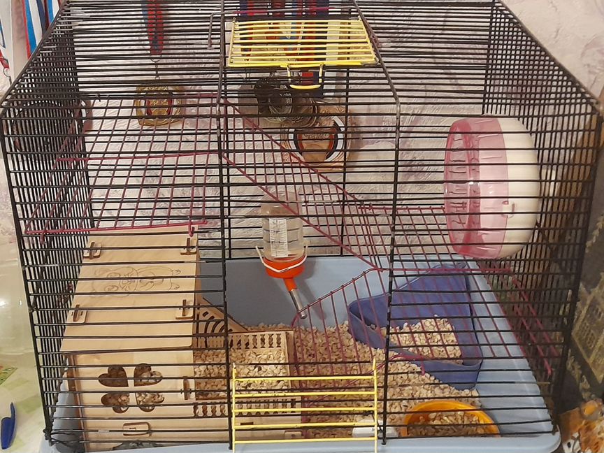 Клетка для грызунов с двумя джунгарскими хомяками