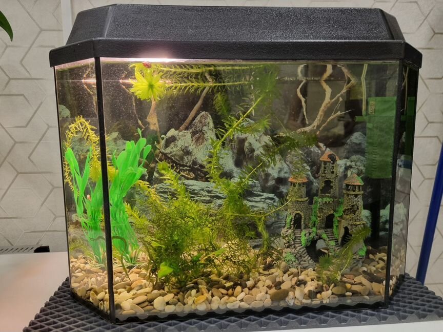 Аквариум панорамный 45литров