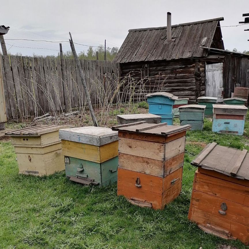 Продам ульи, торг уместен