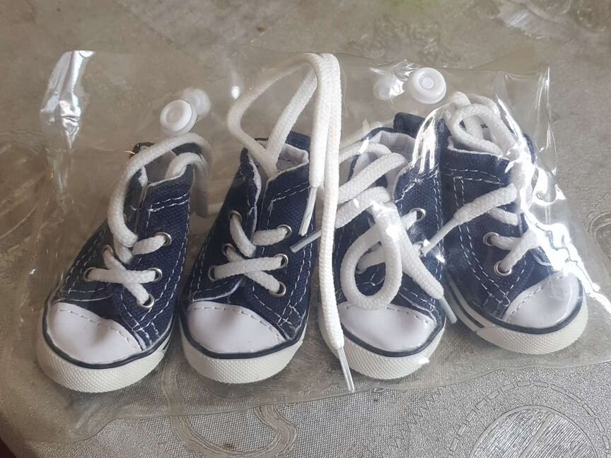 Обувь для маленьких собак - кеды.)