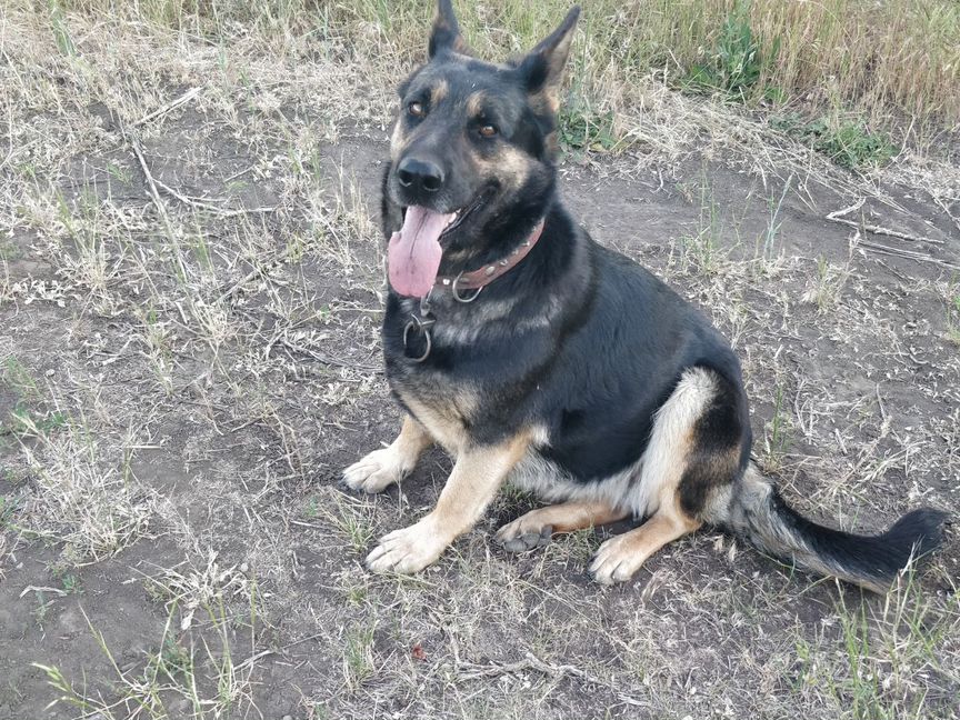 Взрослая дама в семью