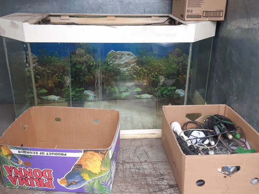 Большой аквариум