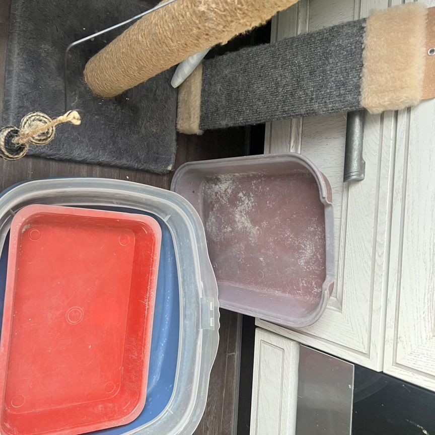 Кошачий лоток