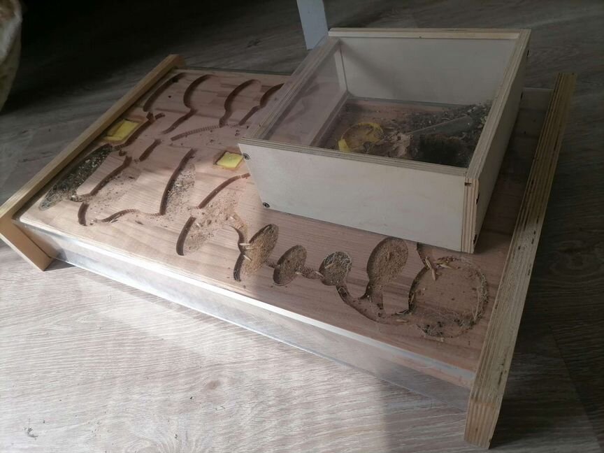 Формикарий бу