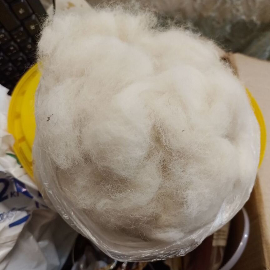 Собачий пух чау-чау