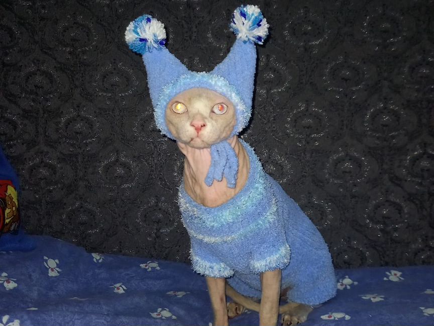 Эльф разноцветные глазки