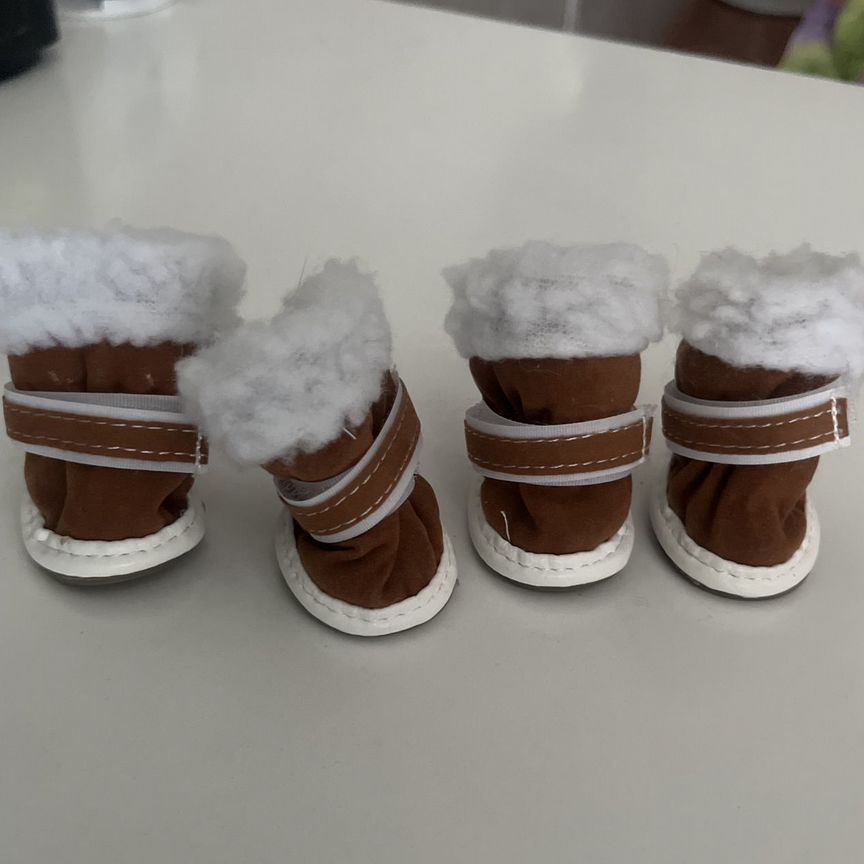 Обувь для собак мелких пород