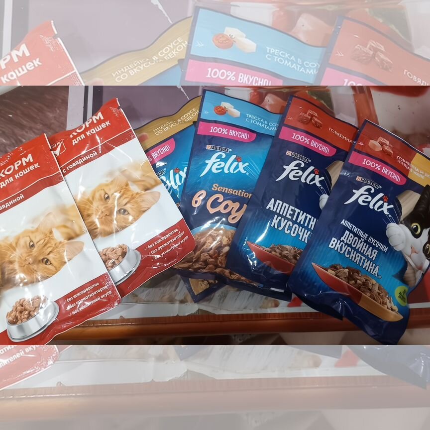 Корм для кошек влажный