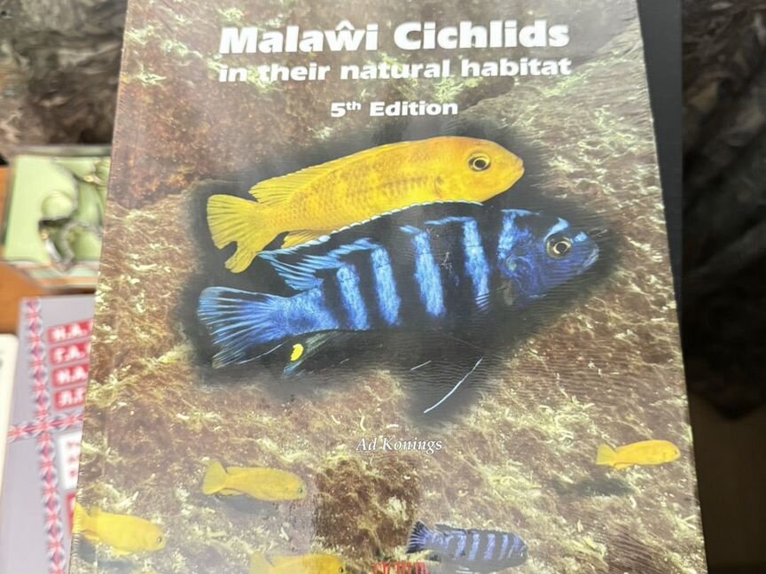 Малавийские цихлиды