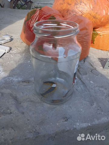 Сколопендра