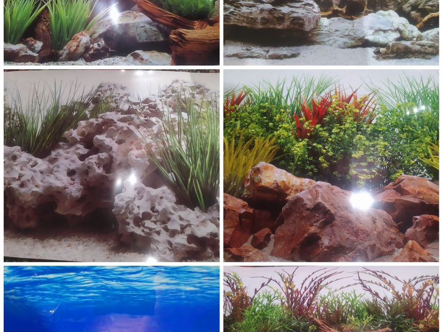 Фоны, гроты, декор, аквариумы и много рыбок