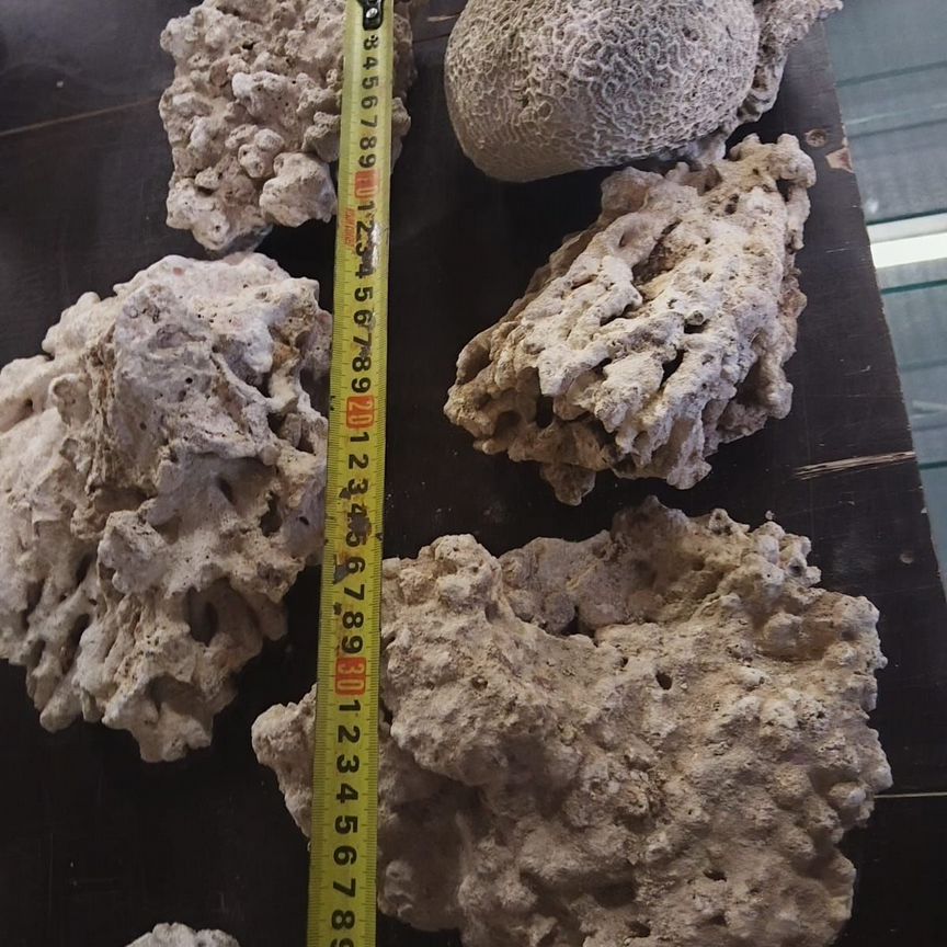 Сухой рифовый камень (срк) для морского аквариума