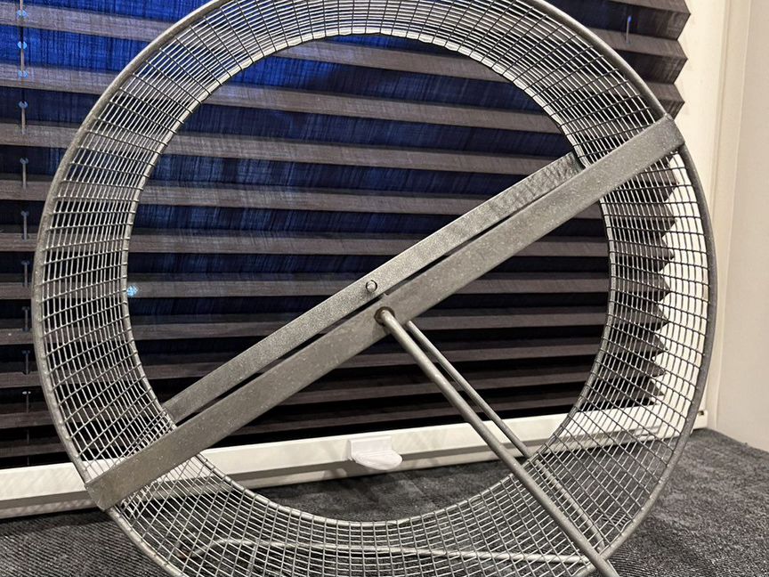 Колесо для грызунов беговое 25 см