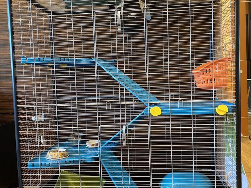 Клетка Savic Zeno 3 Knock Down Empire