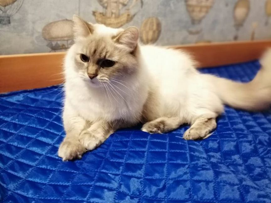 Непромокаемые двухслойные покрывала