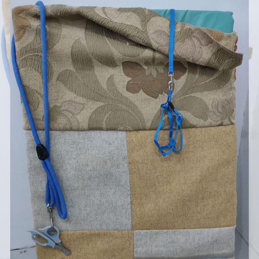 Лежанка для собак, поводок, ножницы для когтей