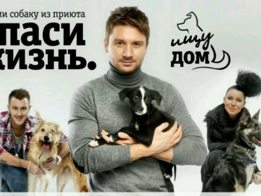 Очень хотим домой