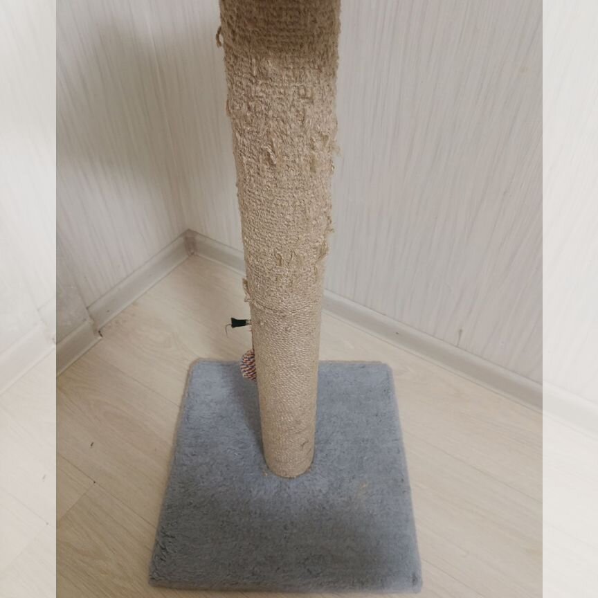 Когтеточка