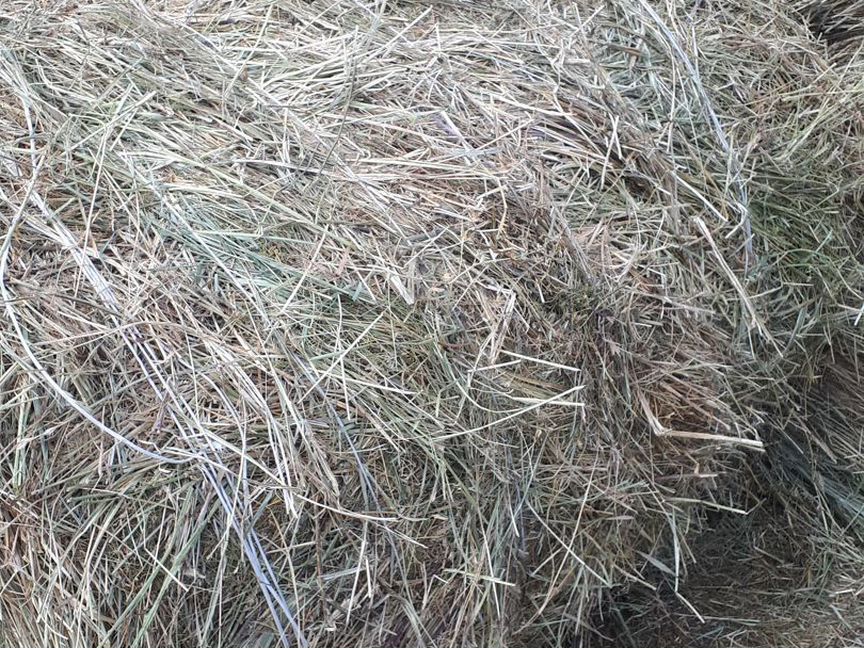 Сено в рулонах