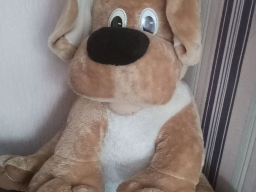 Собака продам очень хороший подарок