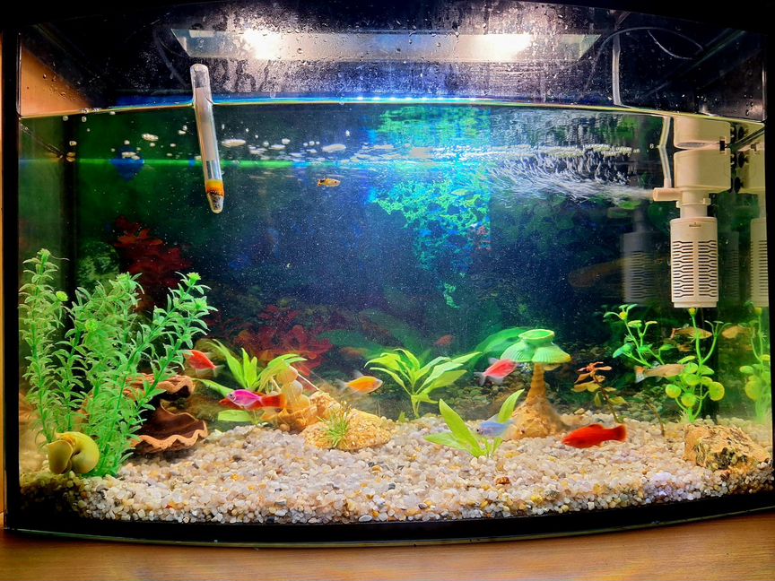 Аквариум на 45 литров новый 2 недели