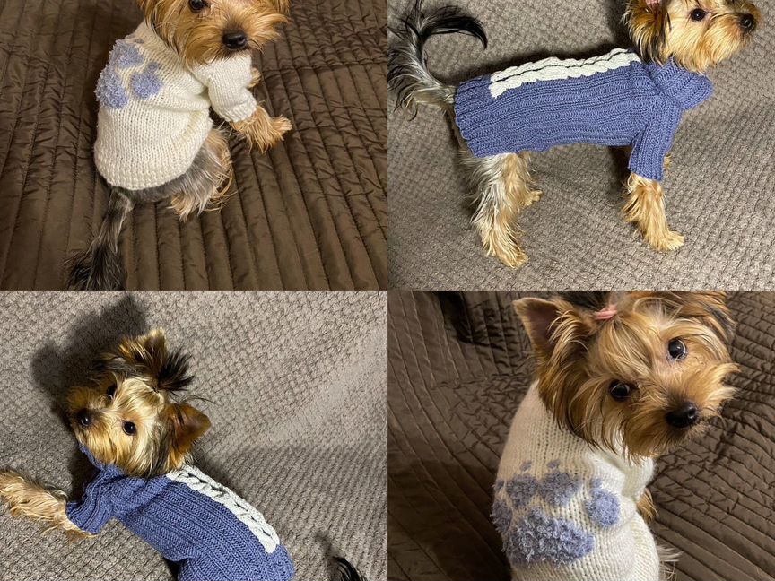 Вещи для маленьких собак