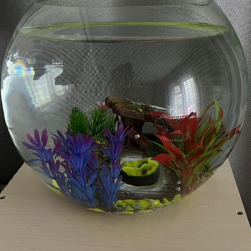 Аквариум 12 литров