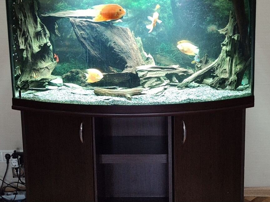 Аквариум на 300 литров