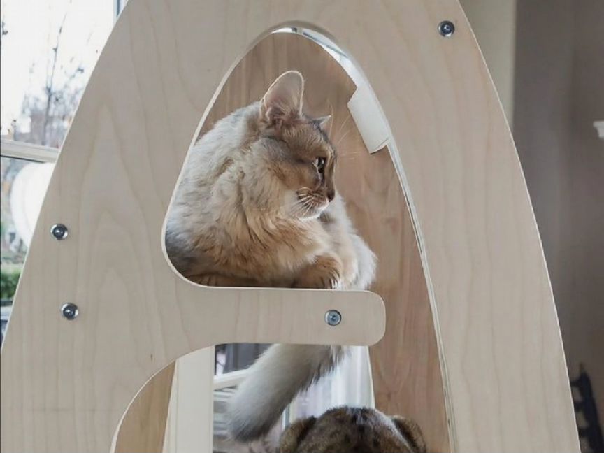 Игровой комплекс для кошек