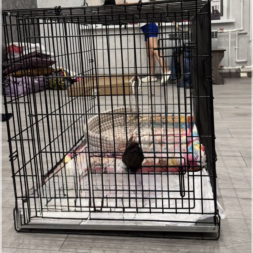 Клетка для собак 5 бу