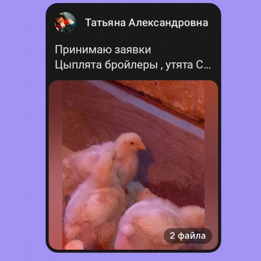 Цыплята бройлеры, утята ск 6