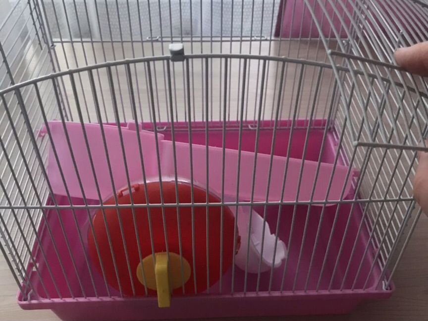 Клетка для джунгарского хомяка