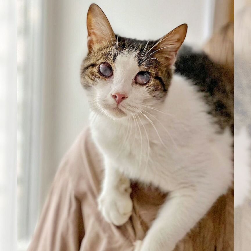 Я не виноват что такой