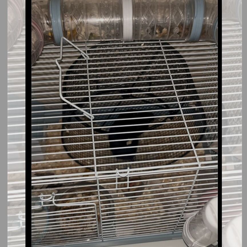 Колесо для хомяка 25 см