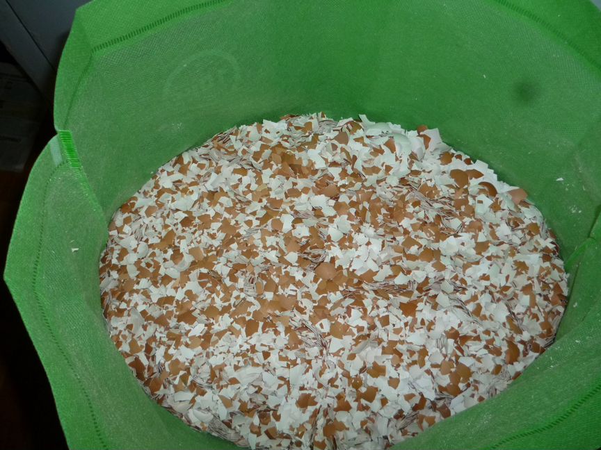 Скорлупа куриных яиц для подкормки птицы в кфх