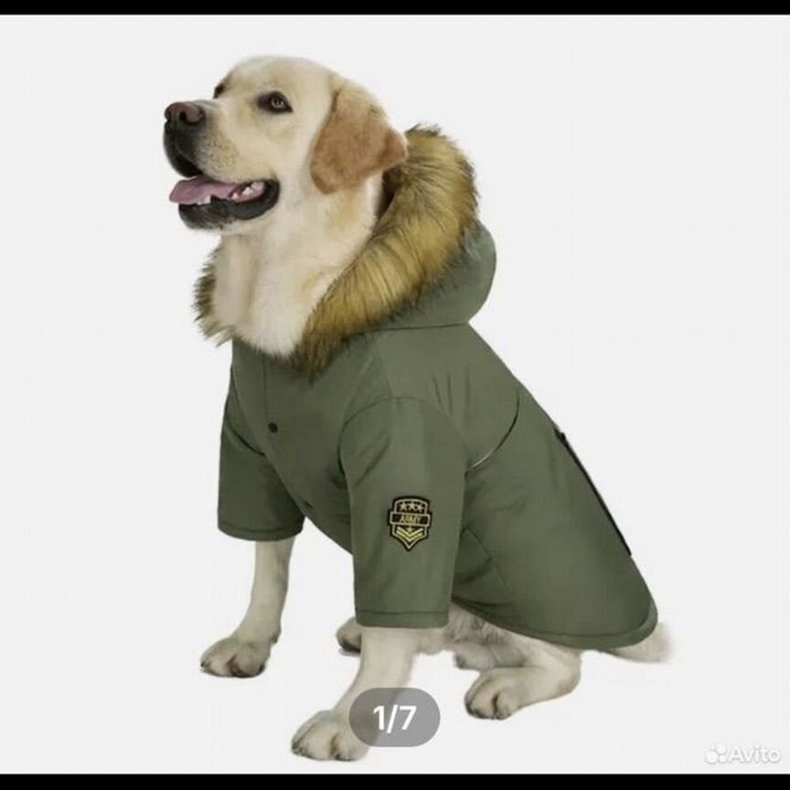 Зимняя куртка для собак