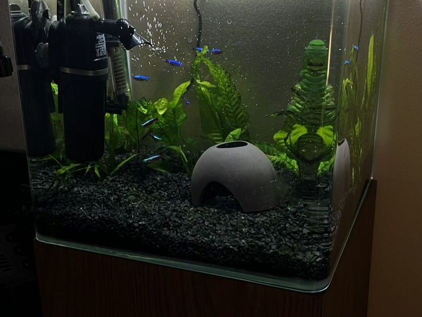 Аквариум с тумбой 30 л и рыбками