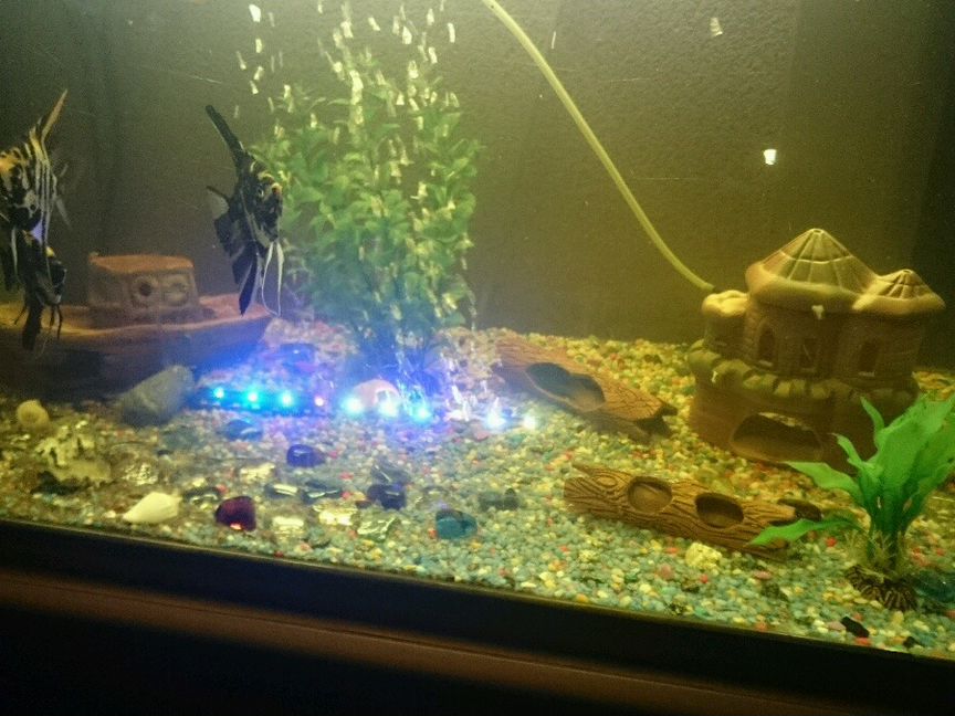 Аквариум Jebo R208