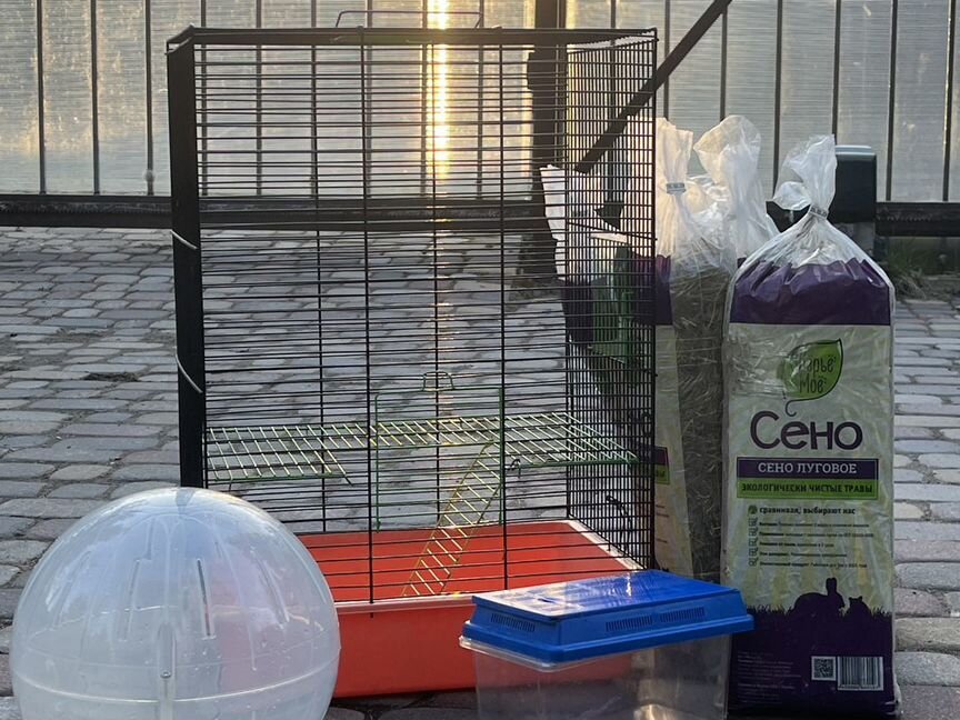 Клетка и переноска для грызунов бу