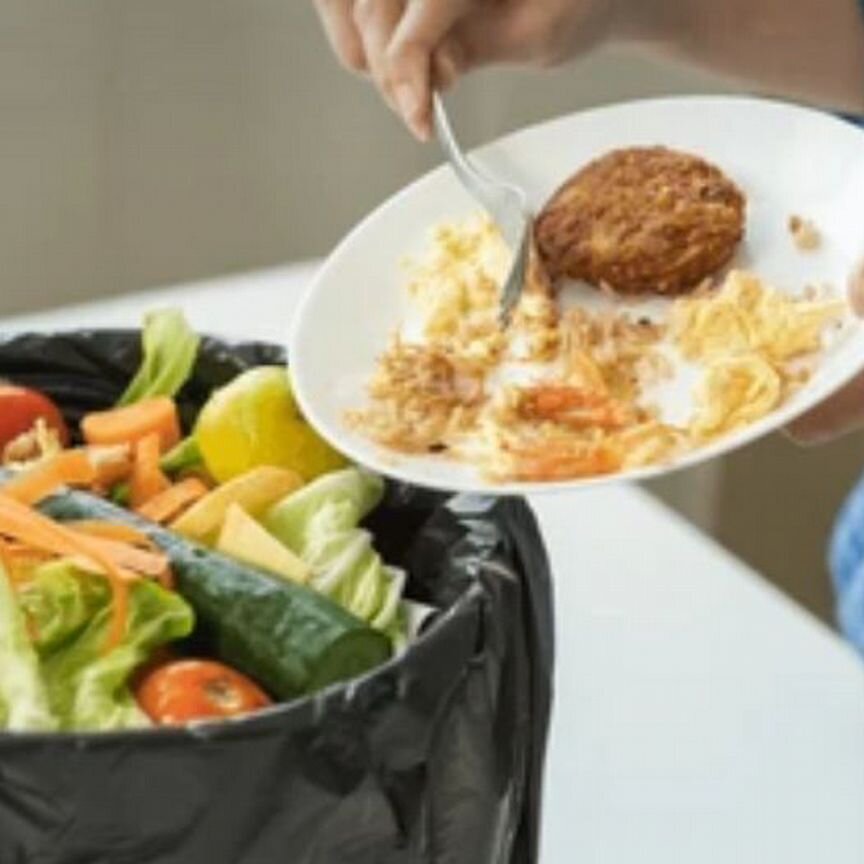 Пищевые отходы