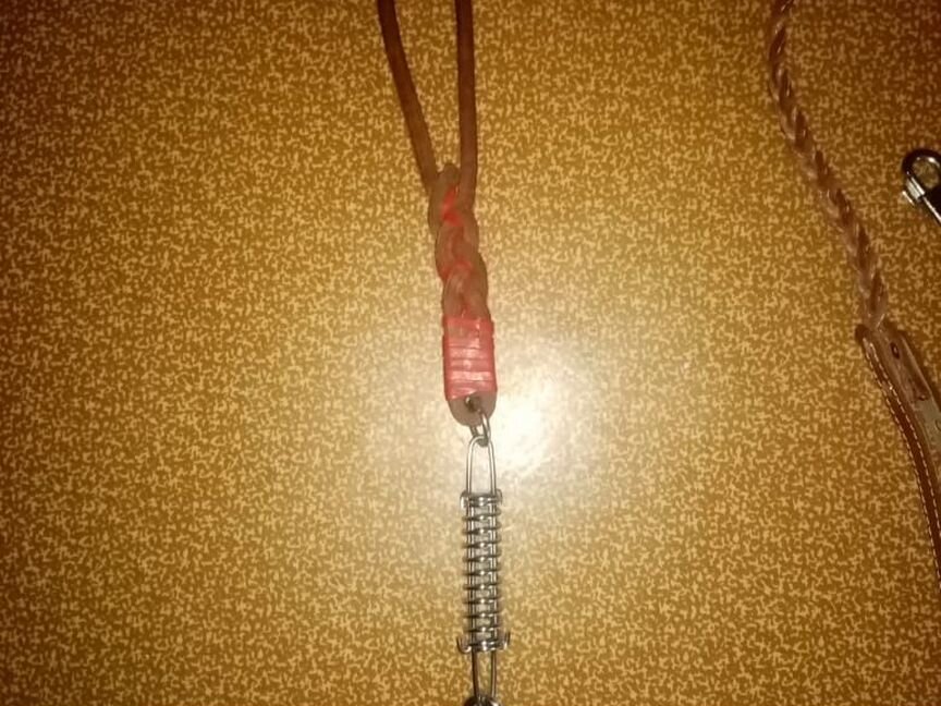 Поводок для собак