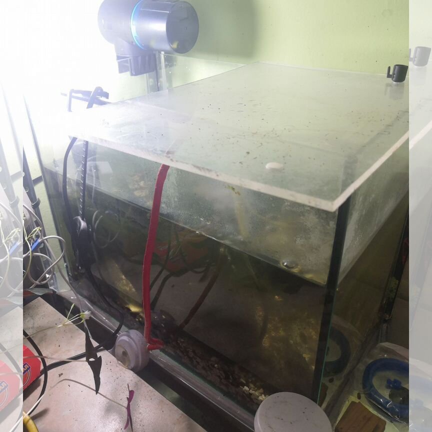 Бронь Аквариум с рыбками