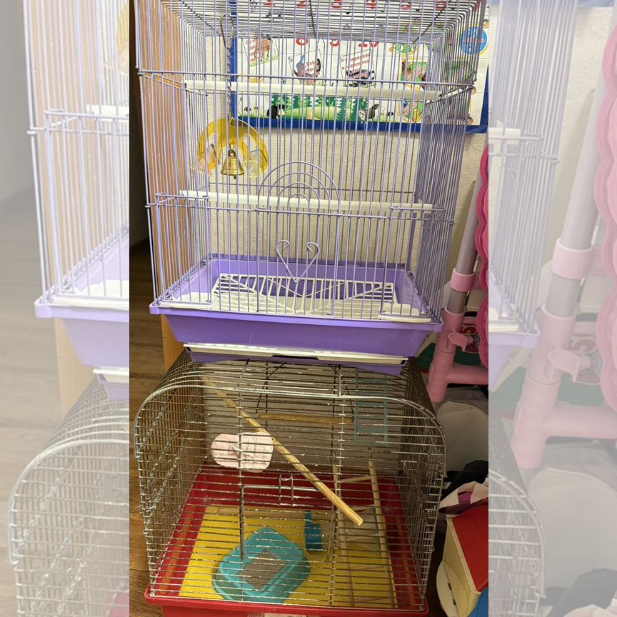 Две клетки для попугая