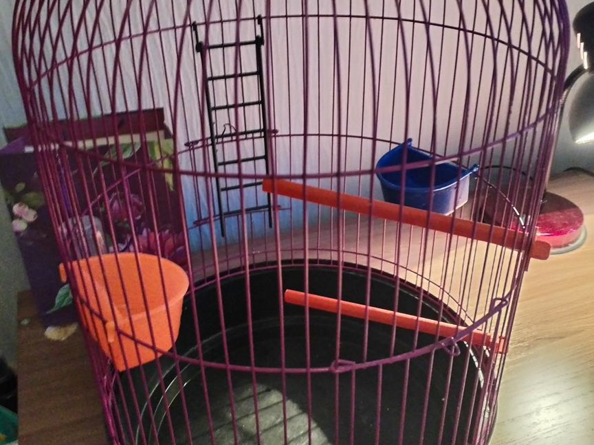 Клетка для волнистого попугая