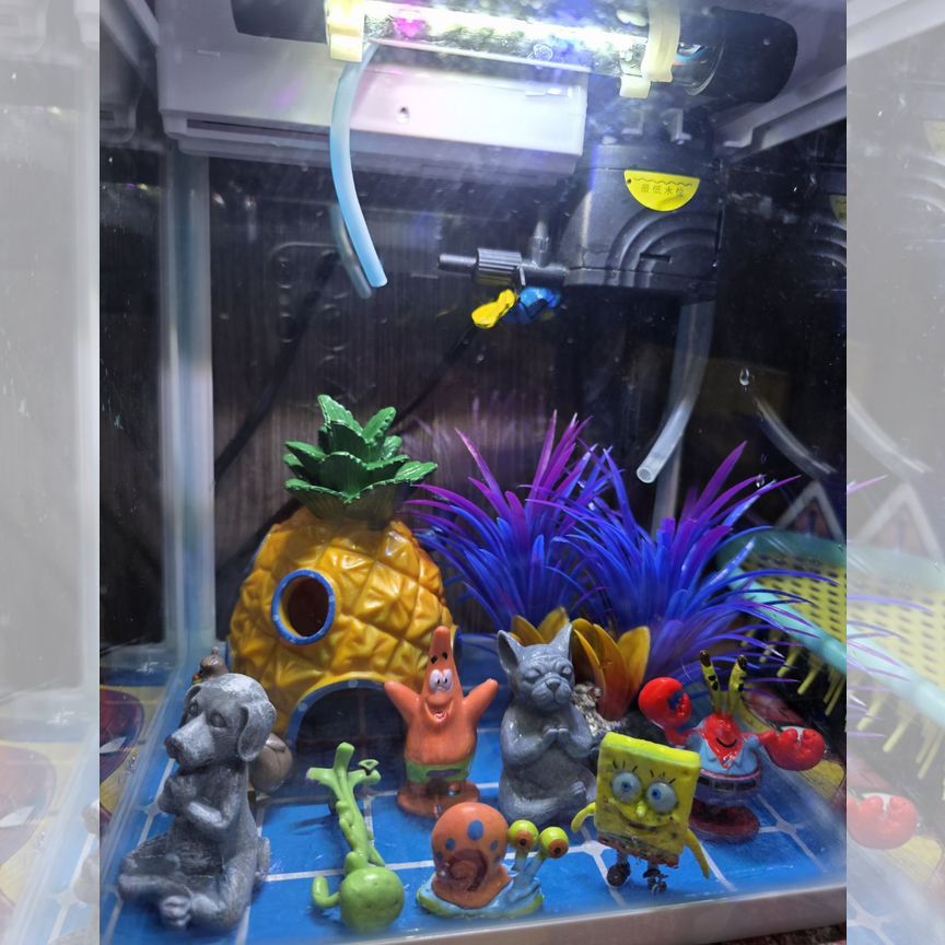 Аквариум 5 литров