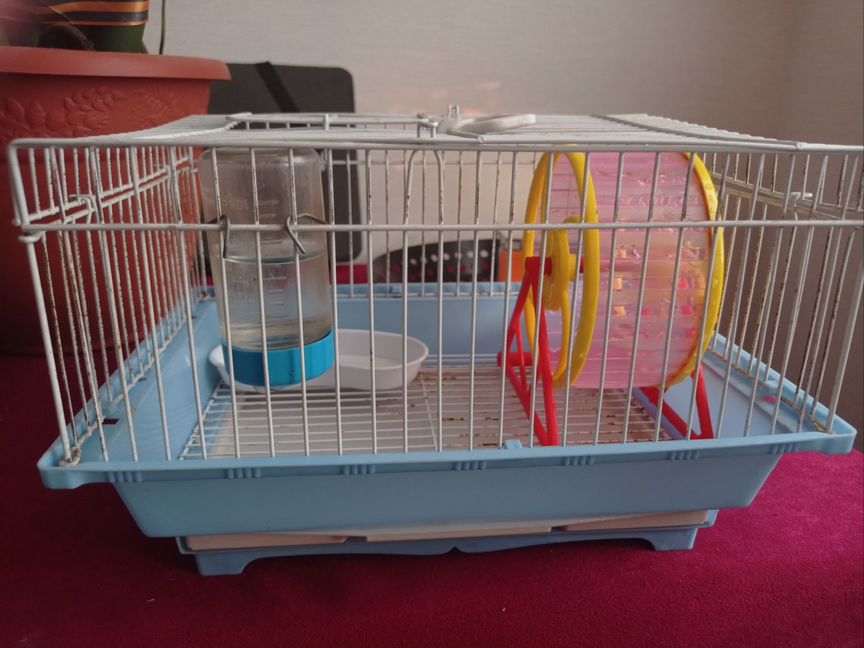 Клетка для хомяка бу