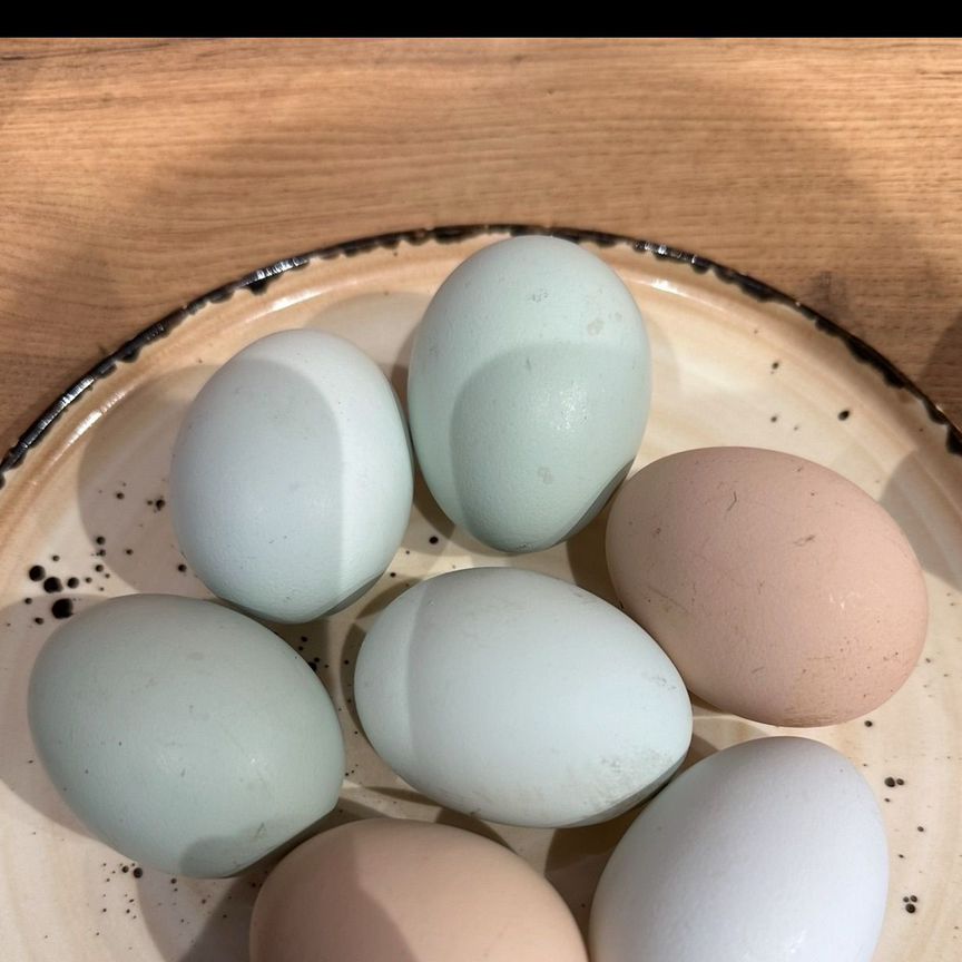 Домашние куриные яйца
